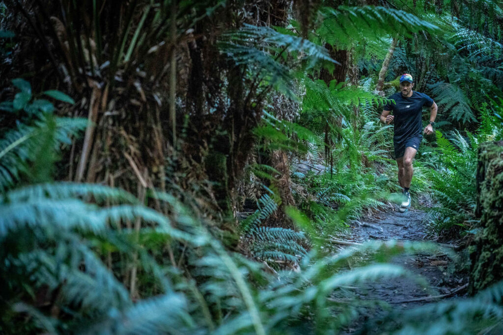 13 Trails and Waterfalls in the Otways, Victoria - We Are Explorers