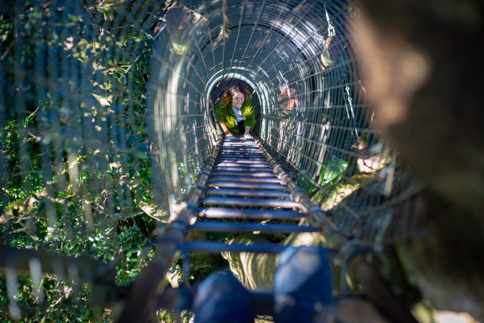 O’Reilly’s Rainforest Retreat – An Oasis in the Gold Coast Hinterland ...