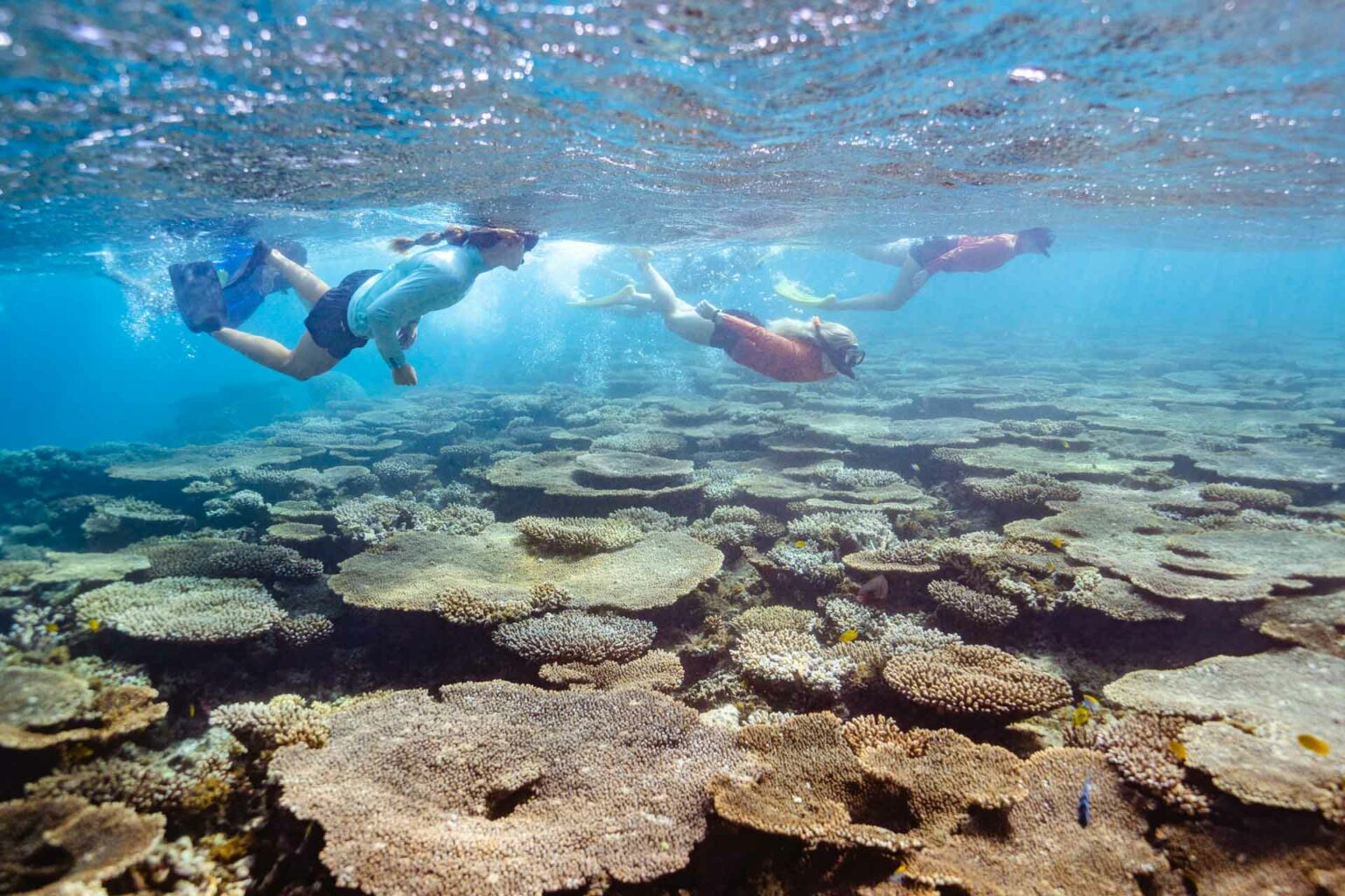 Exmouth – Best Things to Do - We Are Explorers