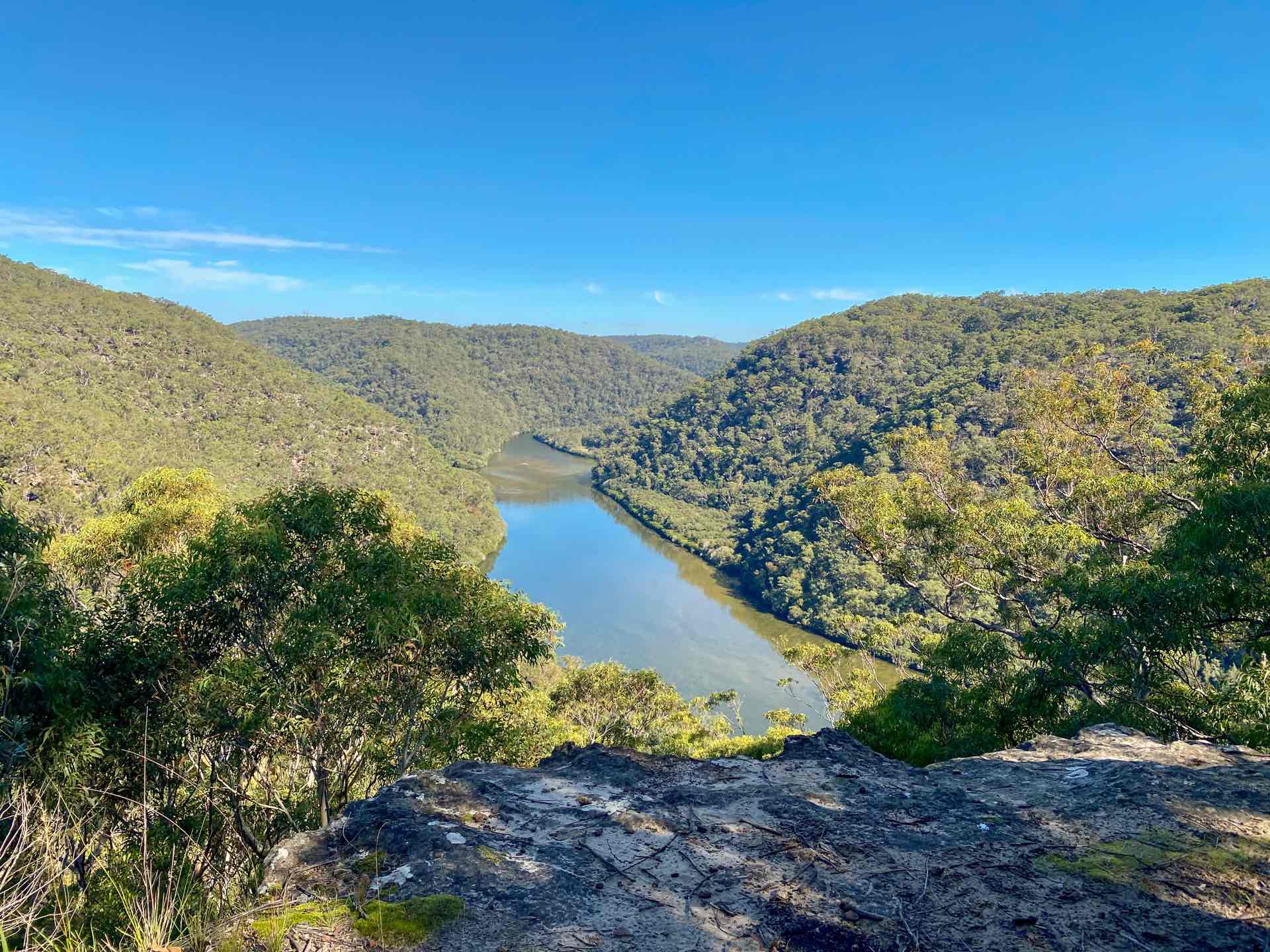 Lyrebird Gully Circuit | Berowra Valley National Park - We Are Explorers